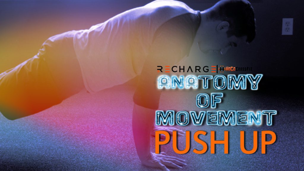 Anatomy of Movement: Push Up - Recharge|HoCo CrossFit Ellicott City